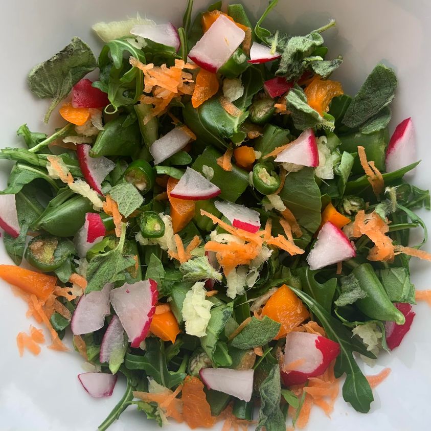 4 Parrot Chop Recipes! – Best Behaved Birds