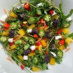 4 More Parrot Chop Recipes! – Best Behaved Birds