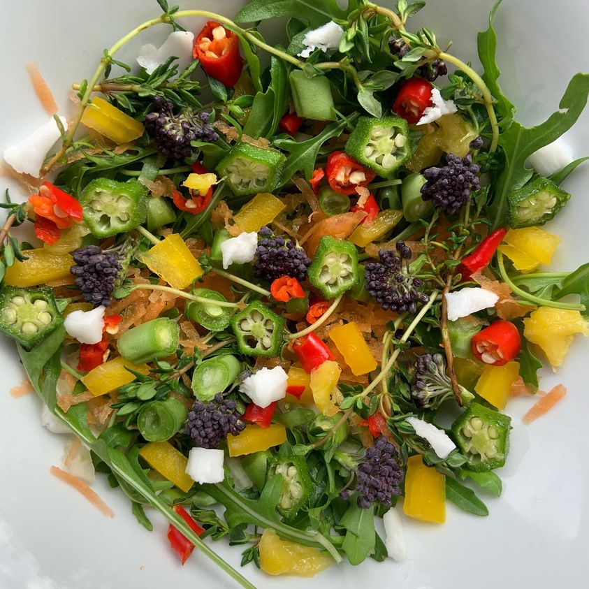 4 More Parrot Chop Recipes! – Best Behaved Birds