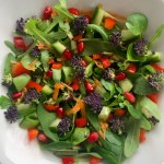 4 More Parrot Chop Recipes! – Best Behaved Birds