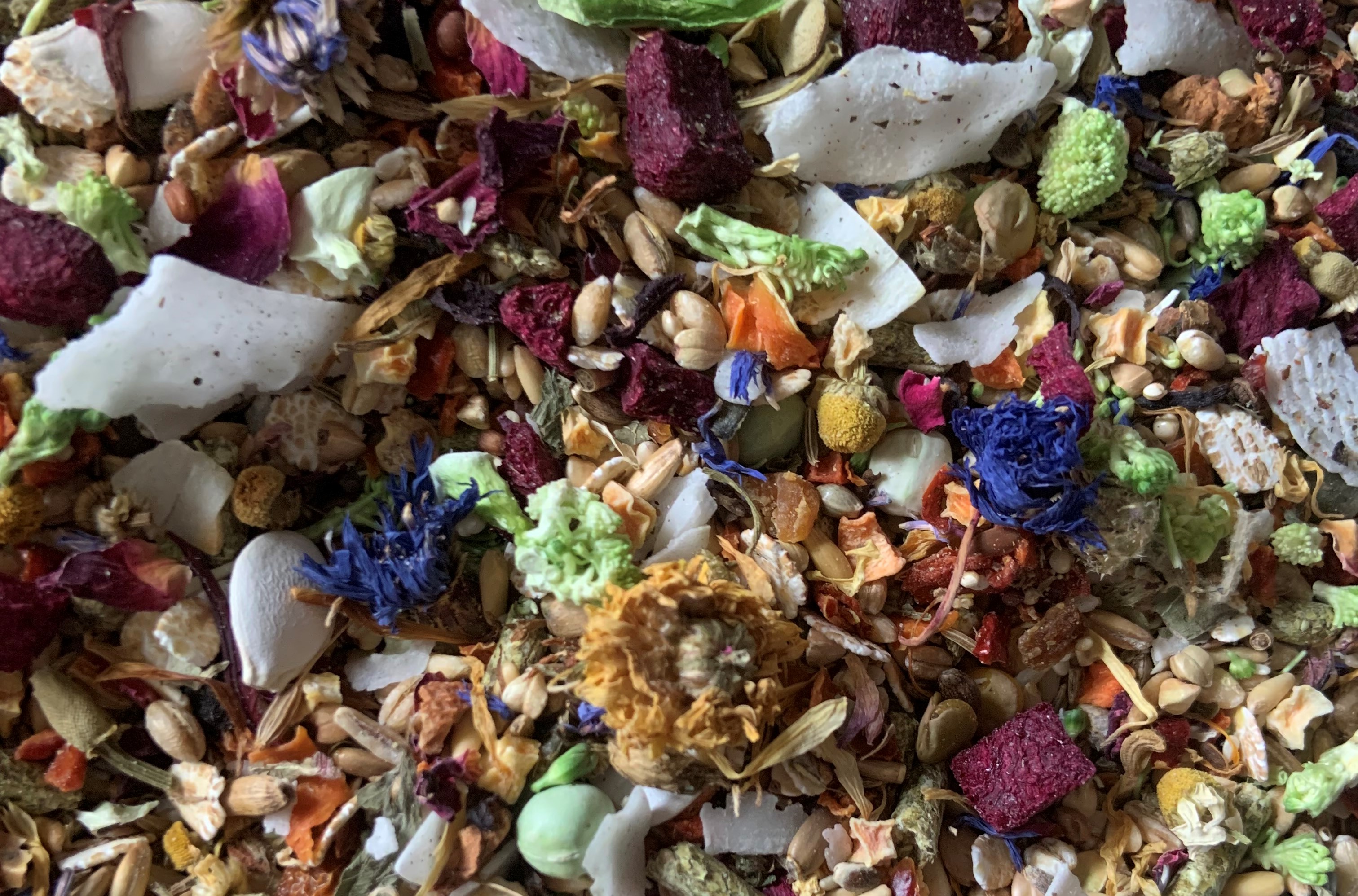 DIY Dry Mixes for Parrots! – Best Behaved Birds