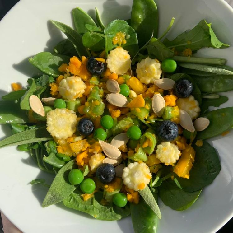 5 Parrot Chop Recipes! – Best Behaved Birds