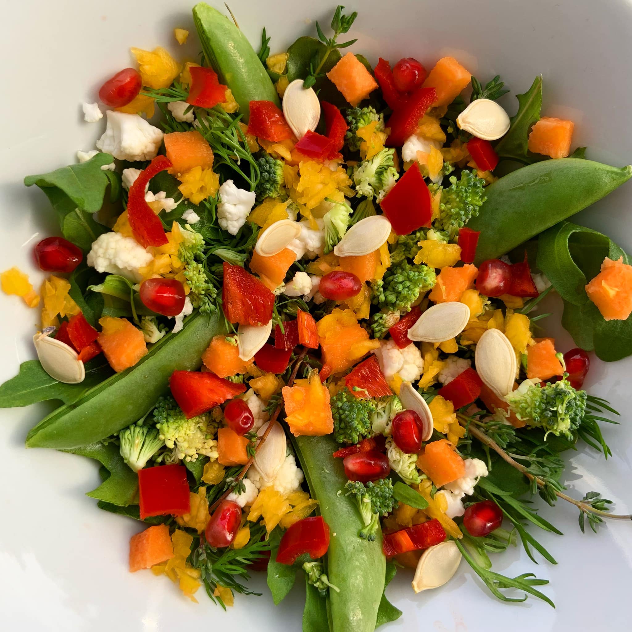 5 Parrot Chop Recipes! – Best Behaved Birds