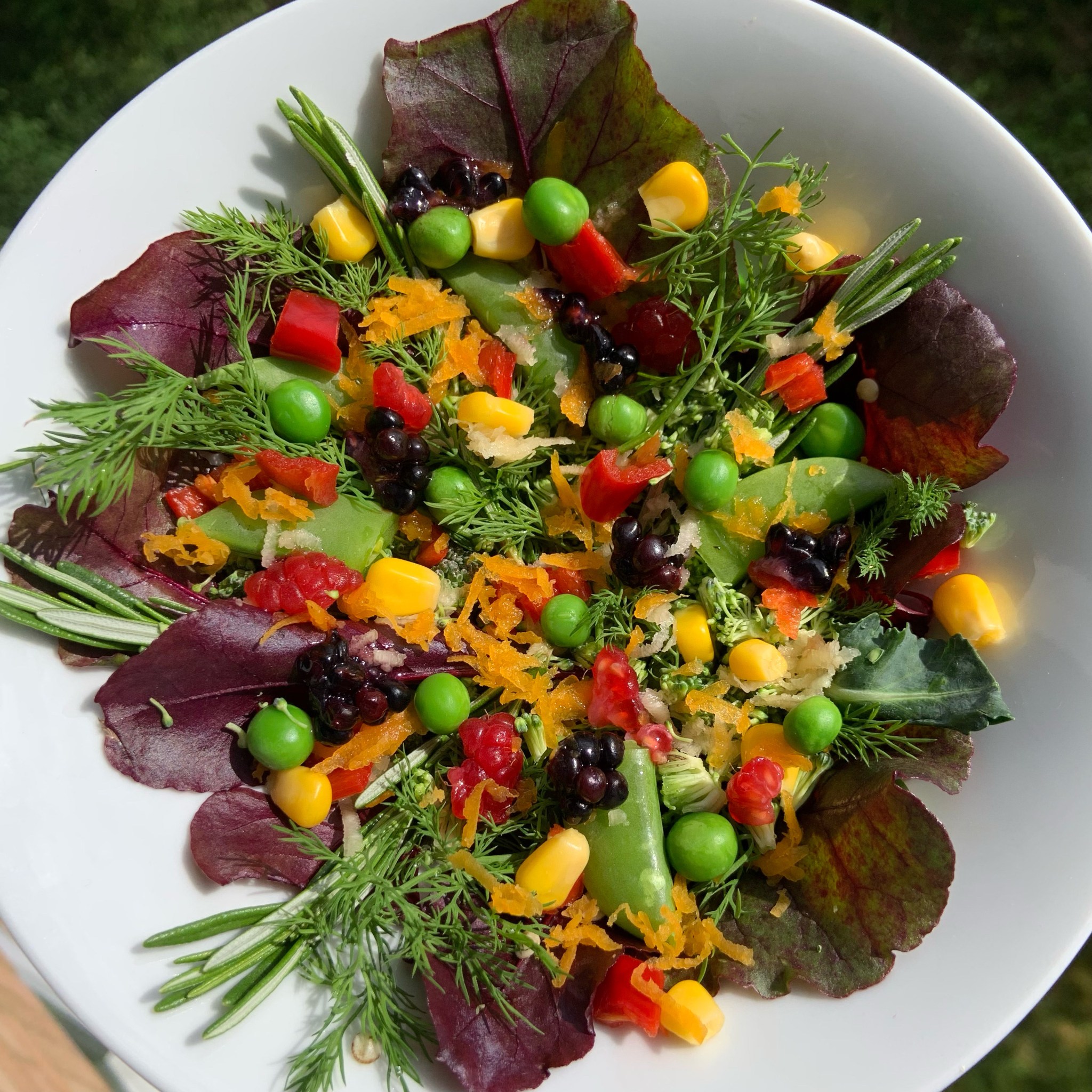 5 Parrot Chop Recipes! – Best Behaved Birds