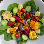 5 Parrot Chop Recipes! – Best Behaved Birds