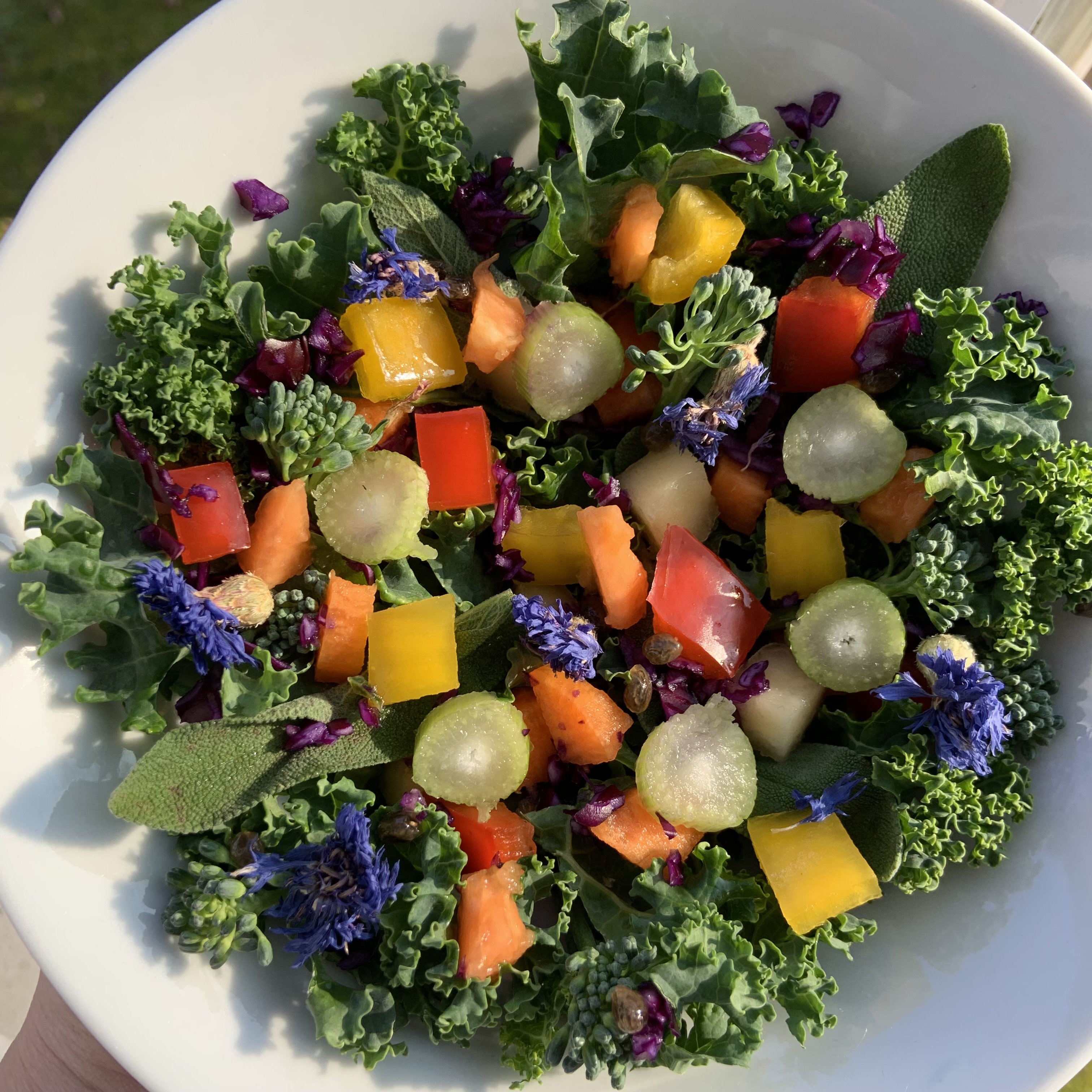 6 Healthy Parrot Chop Recipes! – Best Behaved Birds