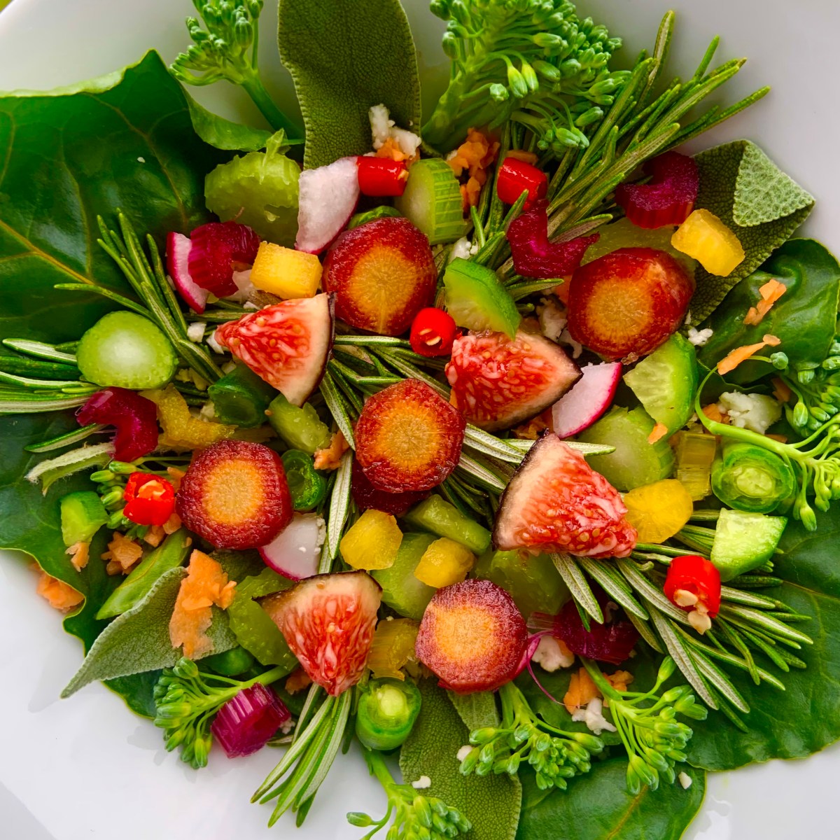6 Healthy Parrot Chop Recipes! – Best Behaved Birds